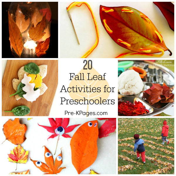 20 Fall Leaf Activities For Preschoolers