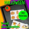 Halloween Visual Discrimination Printable