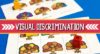 Thanksgiving Visual Discrimination Activity
