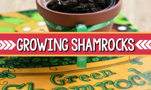 St. Patrick's Day Fine Motor Activities