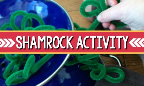 Growing Green Shamrocks for St. Patrick's Day