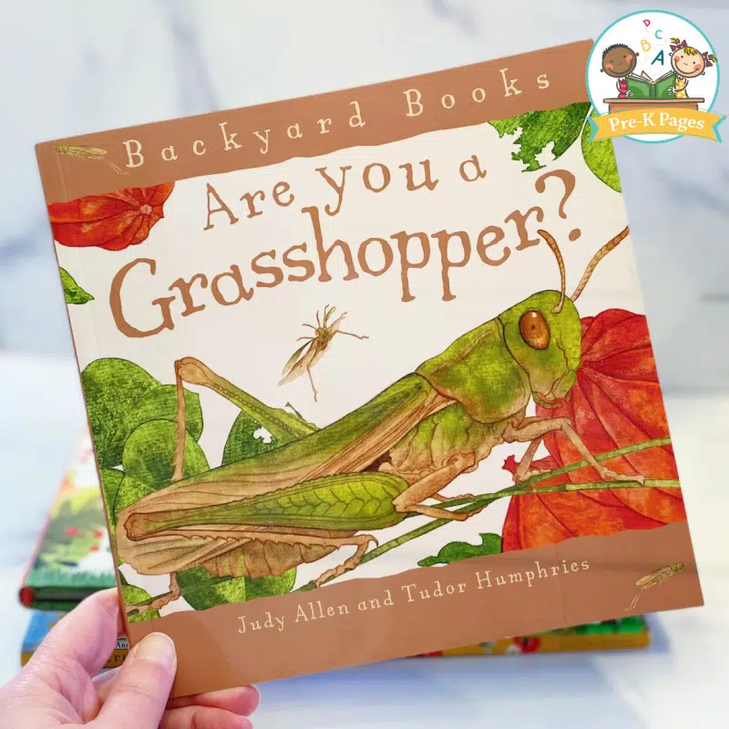 40 Books about Bugs and Insects for Preschool Kids