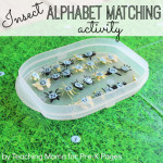 Insect Alphabet Matching Activity