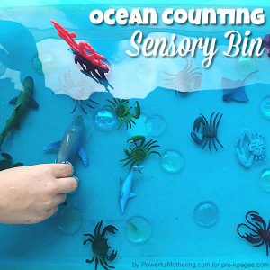 Ocean Sensory Bin