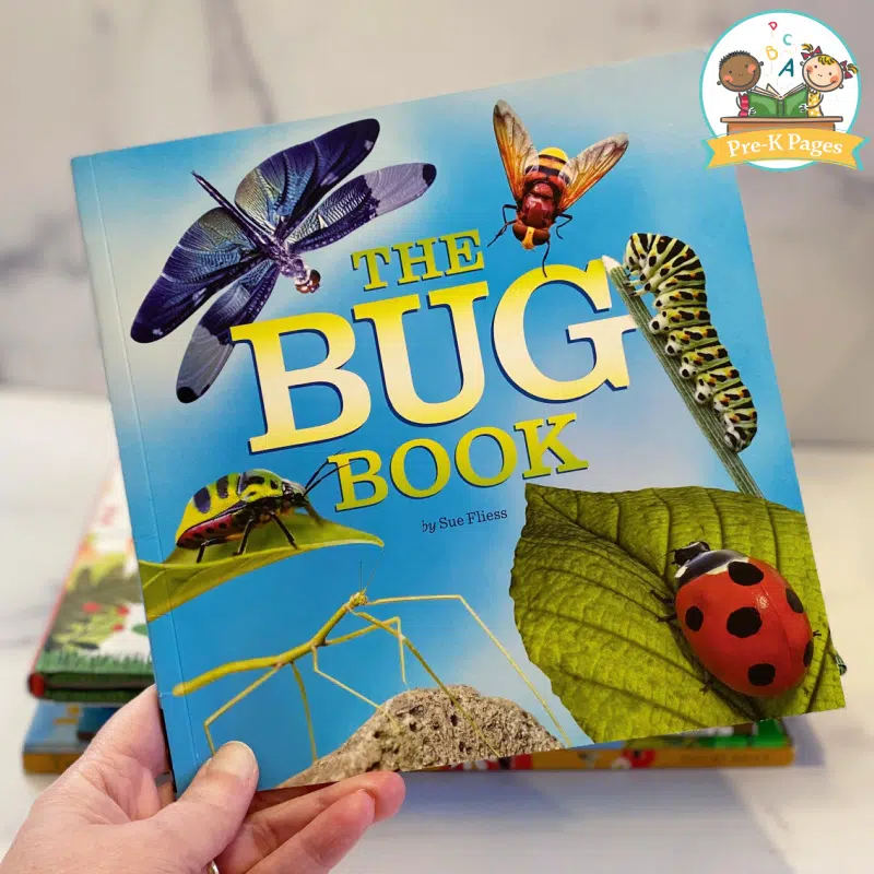 Insects And Bugs For Kids