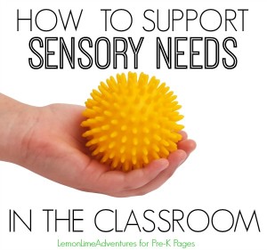 Sensory Support in the Preschool Classroom