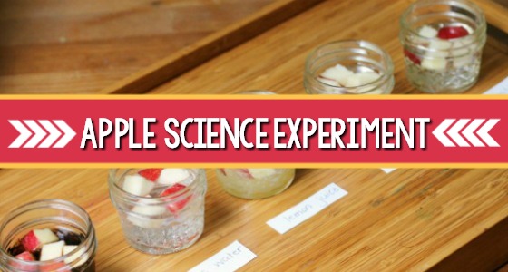 Apple Science Experiment for Preschool