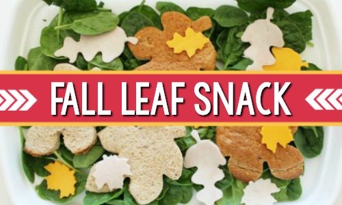 20 Engaging Fall Activities for Preschoolers, Pre-K, and Kindergarteners!