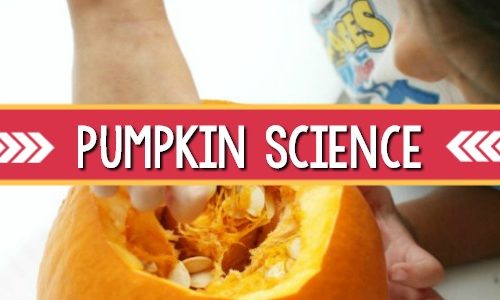 Hands-on Pumpkin Science Activity for Pre-K: Parts of a Pumpkin