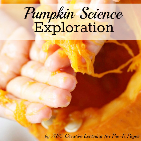 Hands-on Pumpkin Science Activity for Pre-K: Parts of a Pumpkin