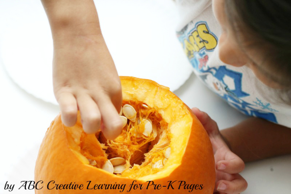 Hands-on Pumpkin Science Activity for Pre-K: Parts of a Pumpkin
