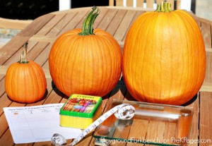 Pumpkin Math Measurement Activity for Preschool