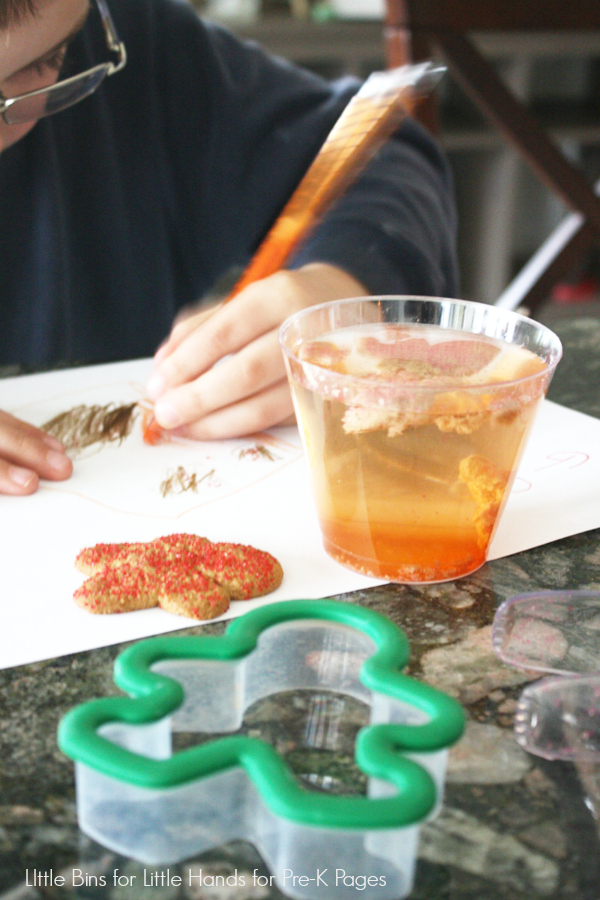 Gingerbread Man Science Activity for Preschool - Pre-K Pages