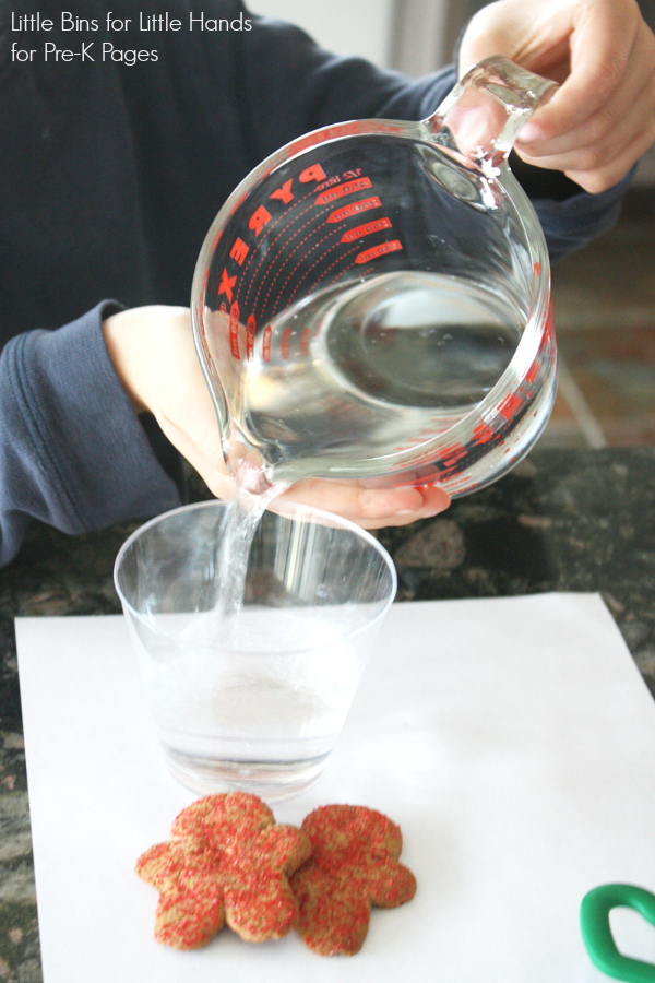 Gingerbread Man Science Activity for Preschool - Pre-K Pages