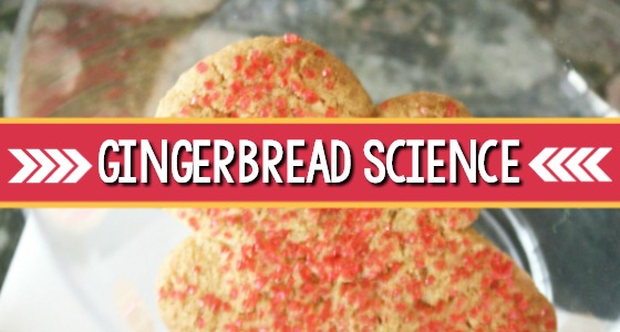Gingerbread Man Science Activity for Preschool - Pre-K Pages