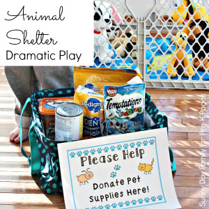 Animal Shelter Dramatic Play - Pre-K Pages