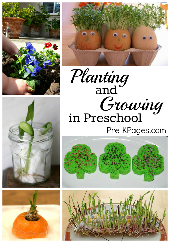 Science For Kids Planting And Growing In Preschool Pre K Pages Science For Kids Planting And Growing In Preschool Pre K Pages