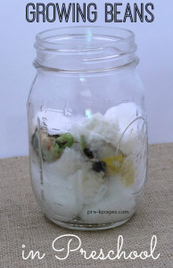 Planting and Growing a Beanstalk in Preschool - Pre-K Pages