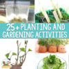 25 Planting And Gardening Activies For Preschoolers
