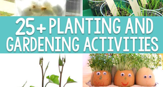 400+ Free Preschool & Pre-K Lesson Plan ideas & activities