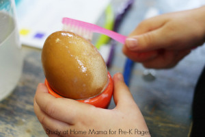 Dental Health Science Teeth Experiment - Pre-K Pages