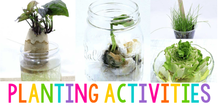 25 Planting And Gardening Activies For Preschoolers