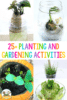 25 Planting And Gardening Activies For Preschoolers