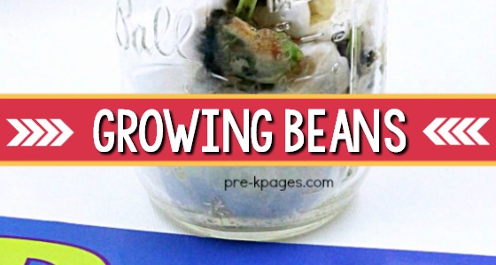 Planting and Growing a Beanstalk in Preschool - Pre-K Pages