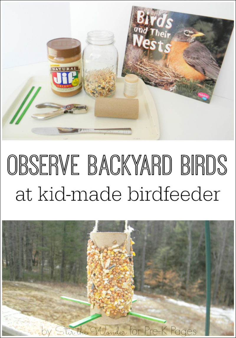 Make a Peanut Butter Bird Feeder and Observe Birds - Pre-K Pages