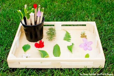 Nature Matching Game - Pre-K Pages