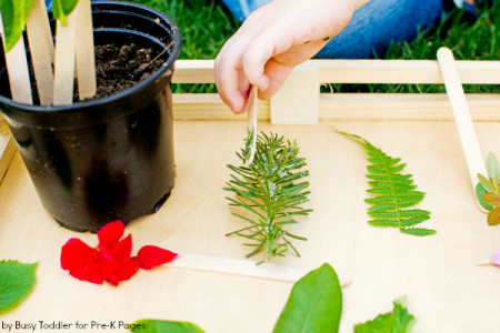 Nature Matching Game - Pre-K Pages