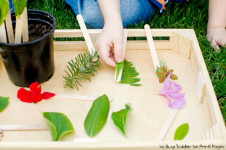 Nature Matching Game - Pre-K Pages