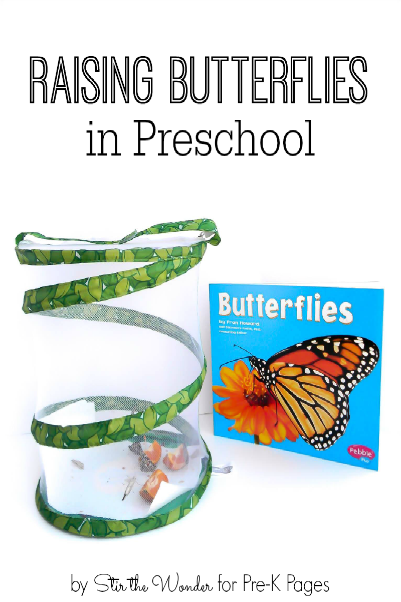 Science for Kids: Raising Butterflies in Preschool - Pre-K Pages