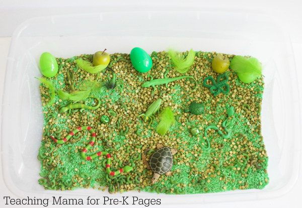 Green: One Color Sensory Bin - Pre-K Pages