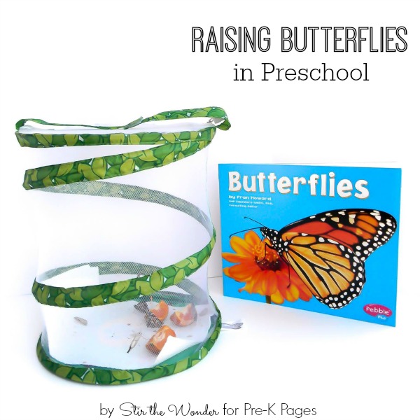Science for Kids: Raising Butterflies in Preschool - Pre-K Pages