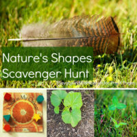 Nature Shape Scavenger Hunt - Pre-K Pages