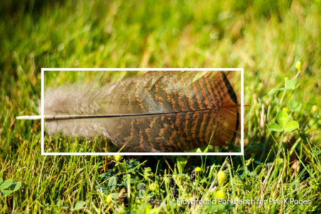 Nature Shape Scavenger Hunt - Pre-K Pages