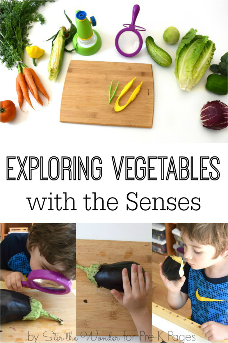 Fruit And Veggie Preschool Ideas