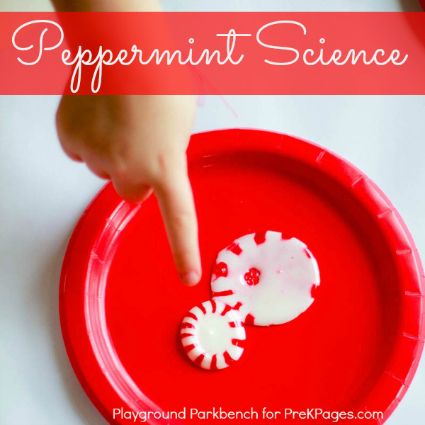 Peppermint Candy Cane Science Experiment - Pre-K Pages