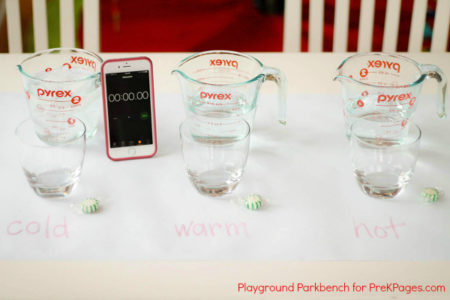 Peppermint Candy Cane Science Experiment - Pre-K Pages