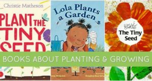 Books About Seeds and Plant Life Cycles - Pre-K Pages
