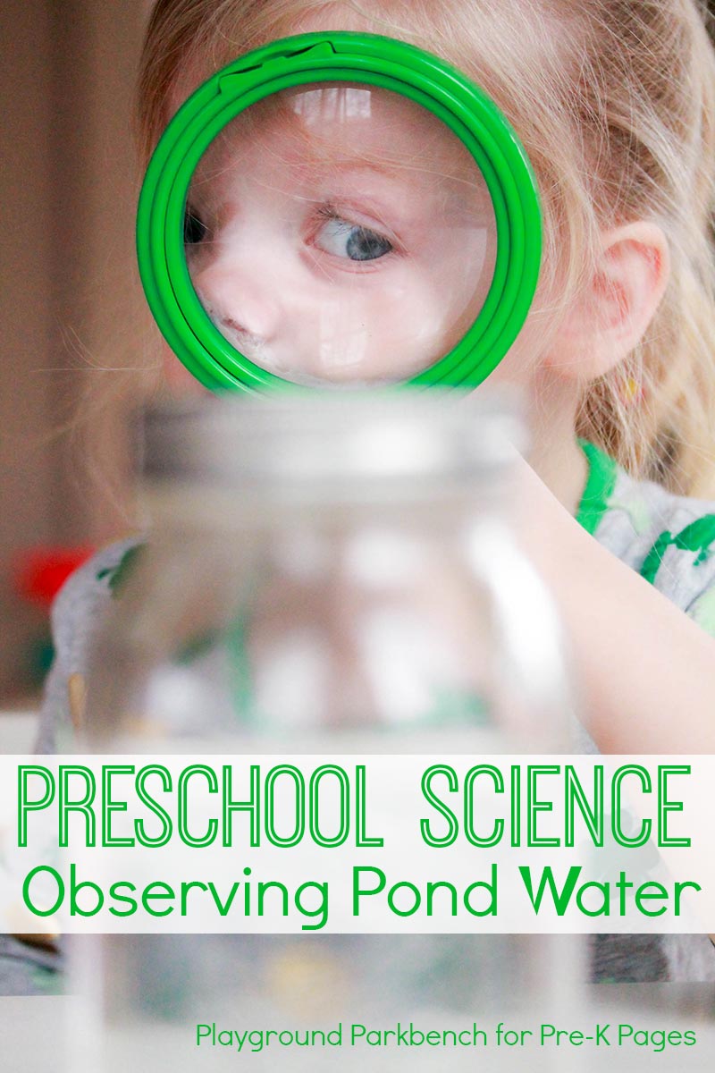 Science for Kids: Observing Pond and Sink Water - Pre-K Pages