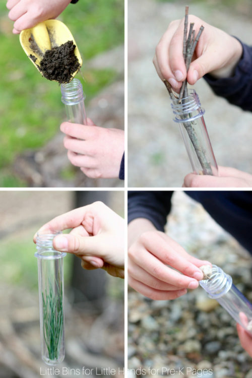Science for Kids: Nature Investigation Table - Pre-K Pages