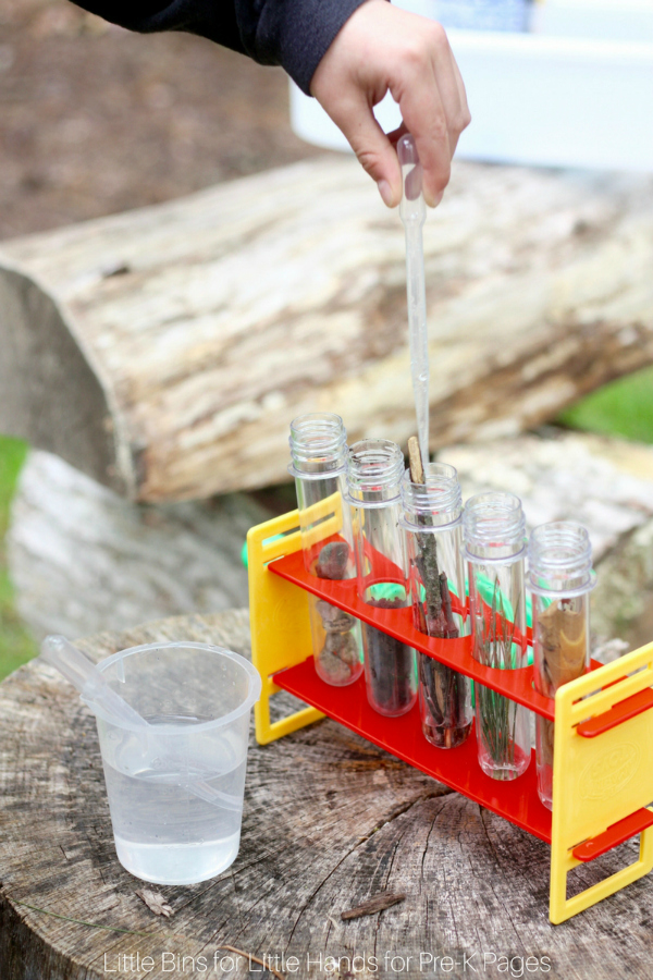 Science for Kids: Nature Investigation Table - Pre-K Pages