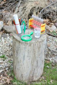 Science for Kids: Nature Investigation Table - Pre-K Pages