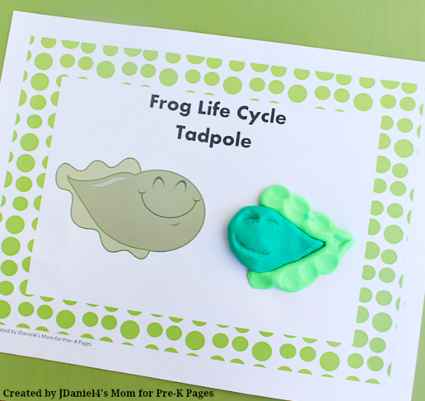 Frog Life Cycle Play Dough Activity - Pre-K Pages