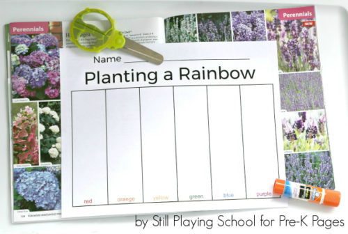 Planting a Rainbow Color Sort - Pre-K Pages