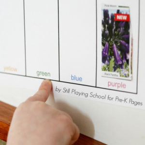 Planting a Rainbow Color Sort - Pre-K Pages