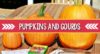 8 Pumpkin Activities For Preschool - Pre-K Pages