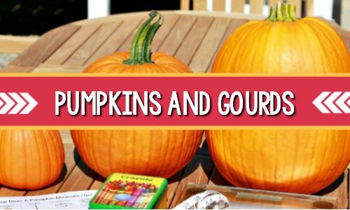8 Pumpkin Activities For Preschool - Pre-K Pages